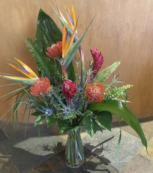 Tropic Thunder – Nicola Flora