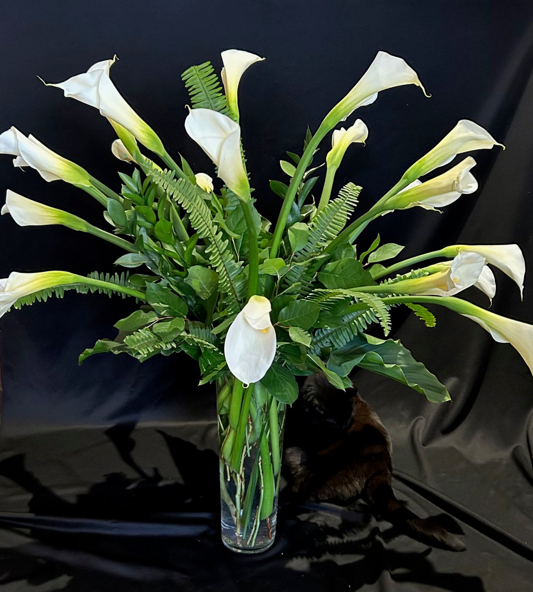 The Bold and the Beautiful – Nicola Flora