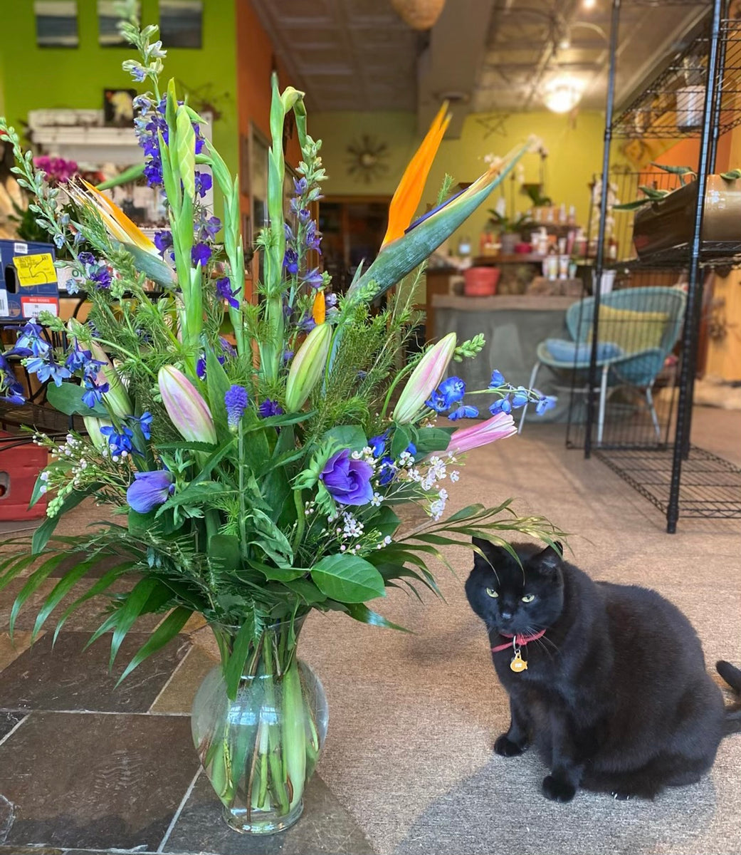 Waiting For You – Nicola Flora