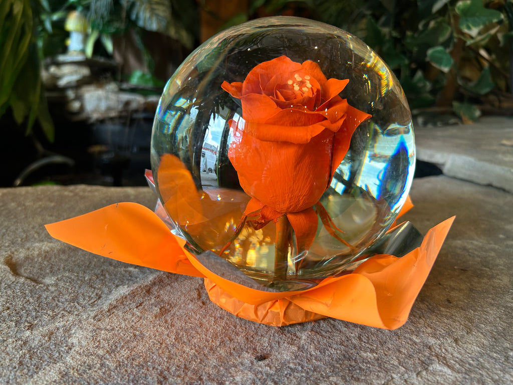 Enchanting Real Rose Globe – Nicola Flora
