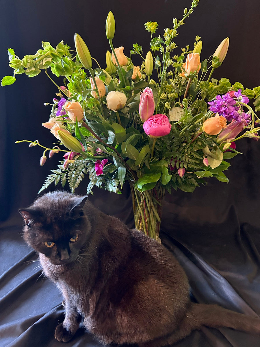 Looks Like Spring – Nicola Flora