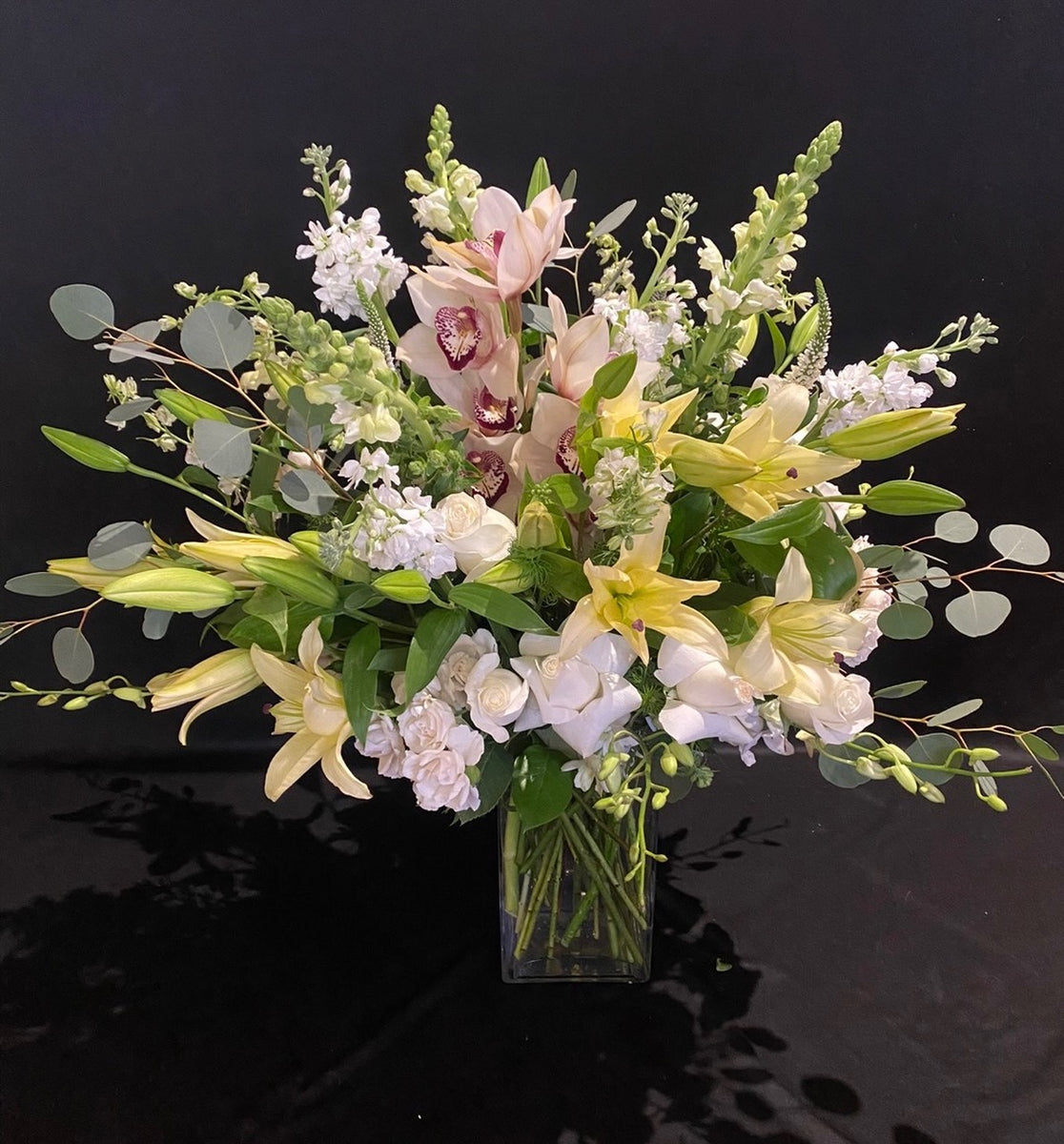 Love Cats – Nicola Flora