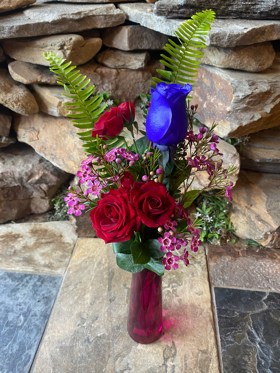 Rose Bud Vase – Nicola Flora