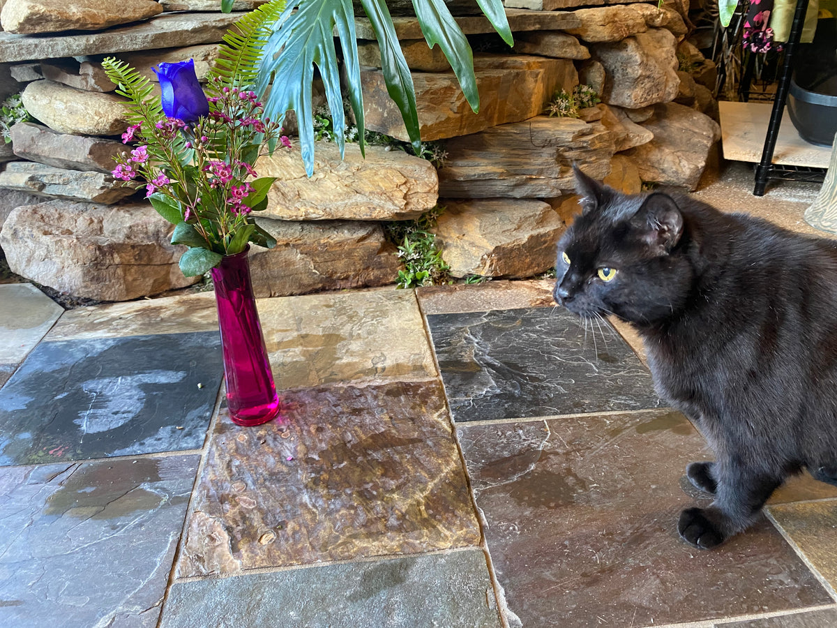 Rose Bud Vase – Nicola Flora