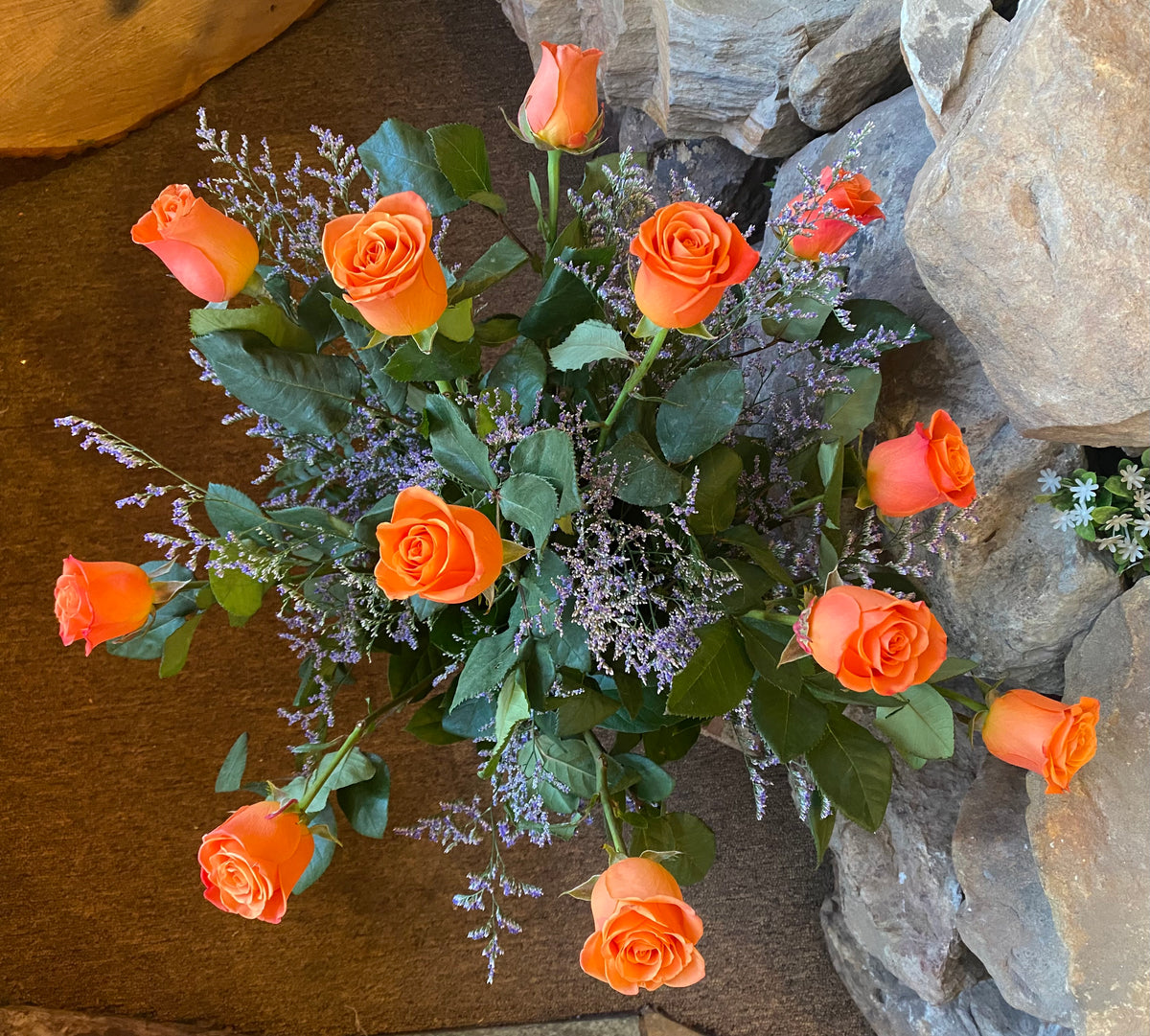 Choice of Color Roses - 1 Dozen – Nicola Flora