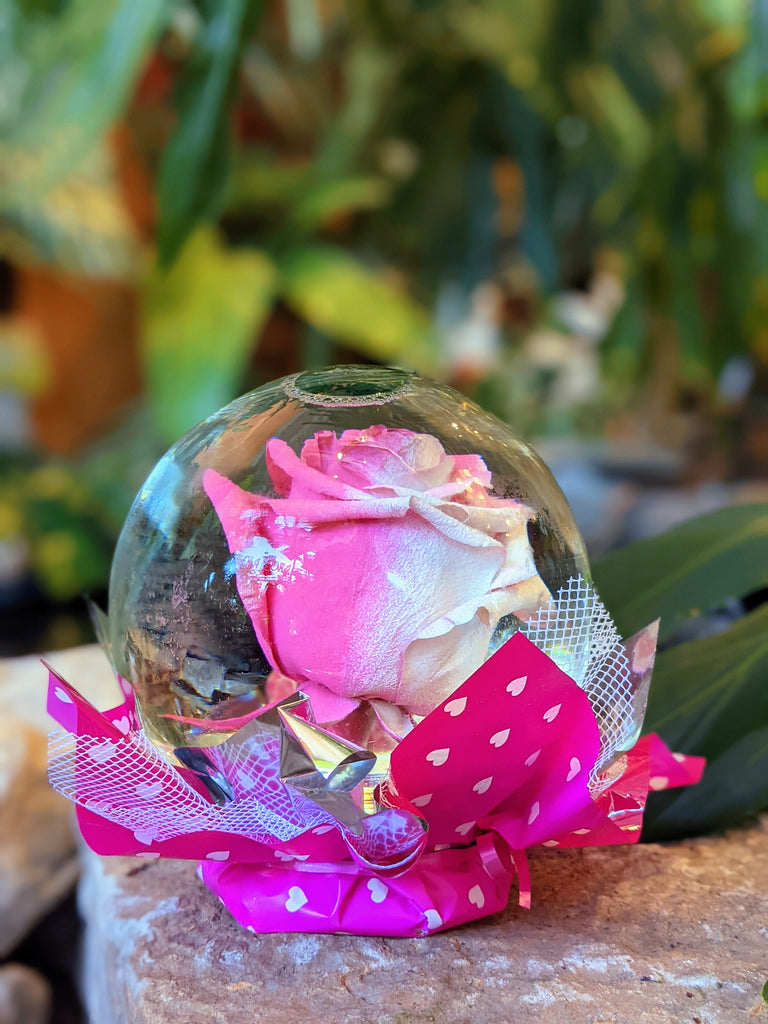 Enchanting Real Rose Globe – Nicola Flora
